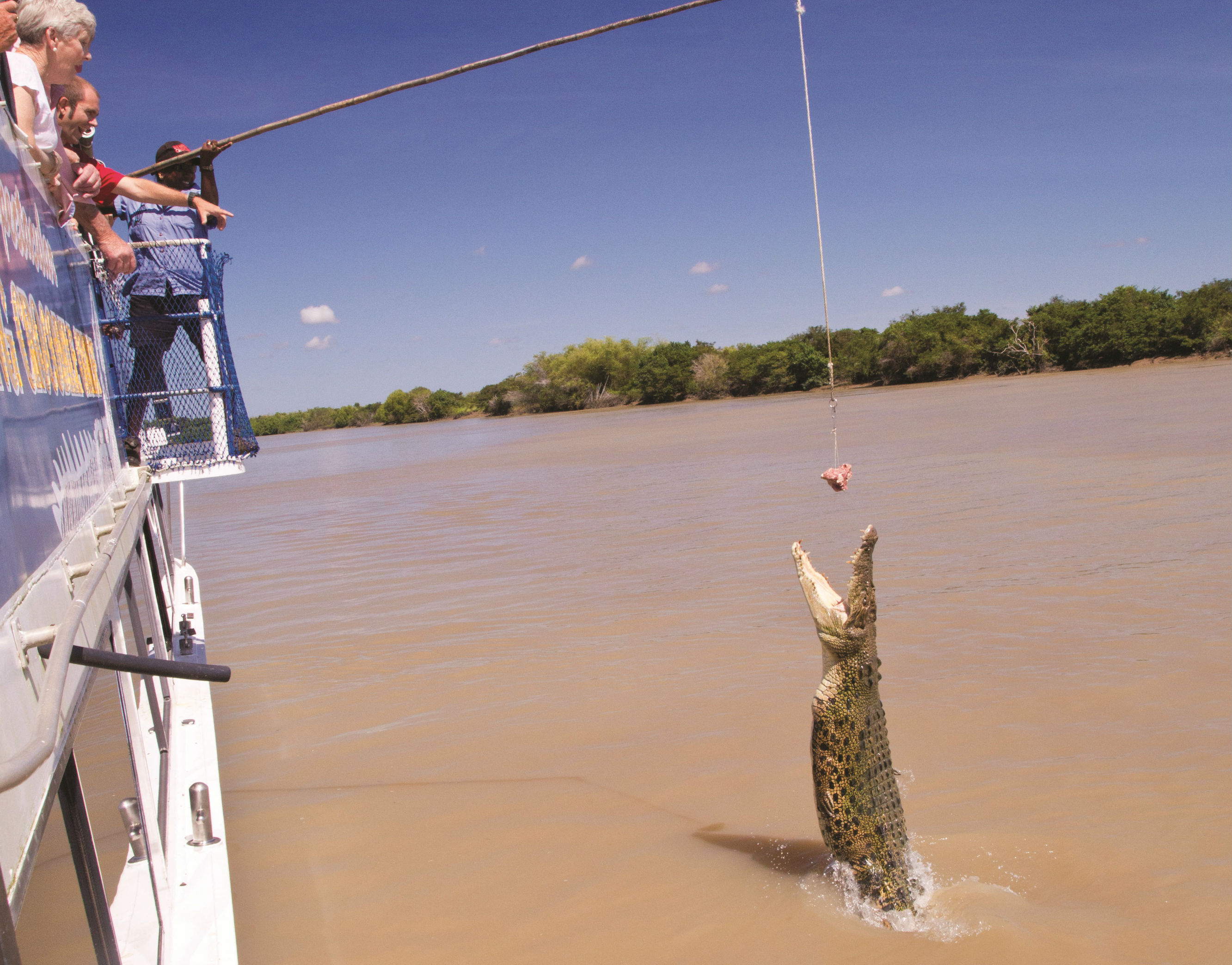 Jumping Crocs and Nature Adventure - Journey Beyond Rail