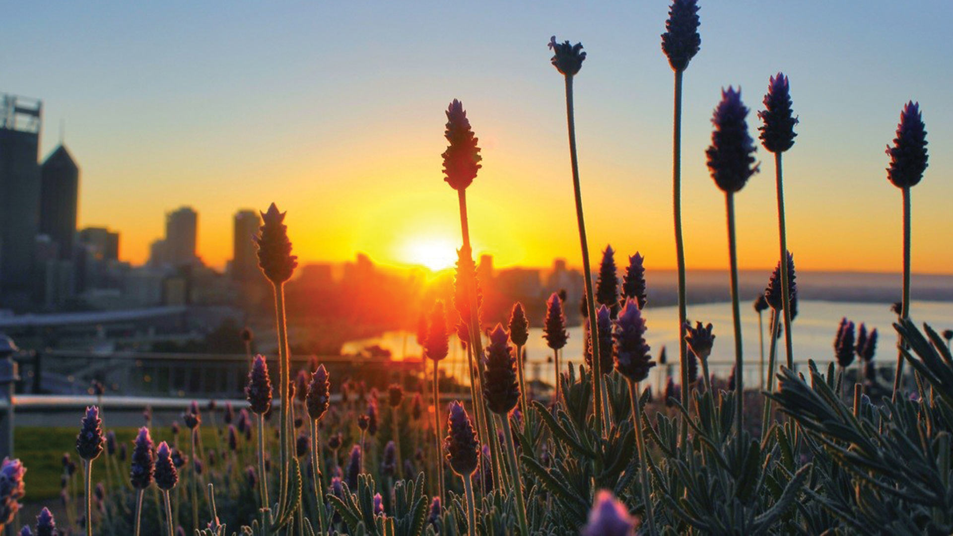 All About Perth Tour & Transfer - Journey Beyond Rail