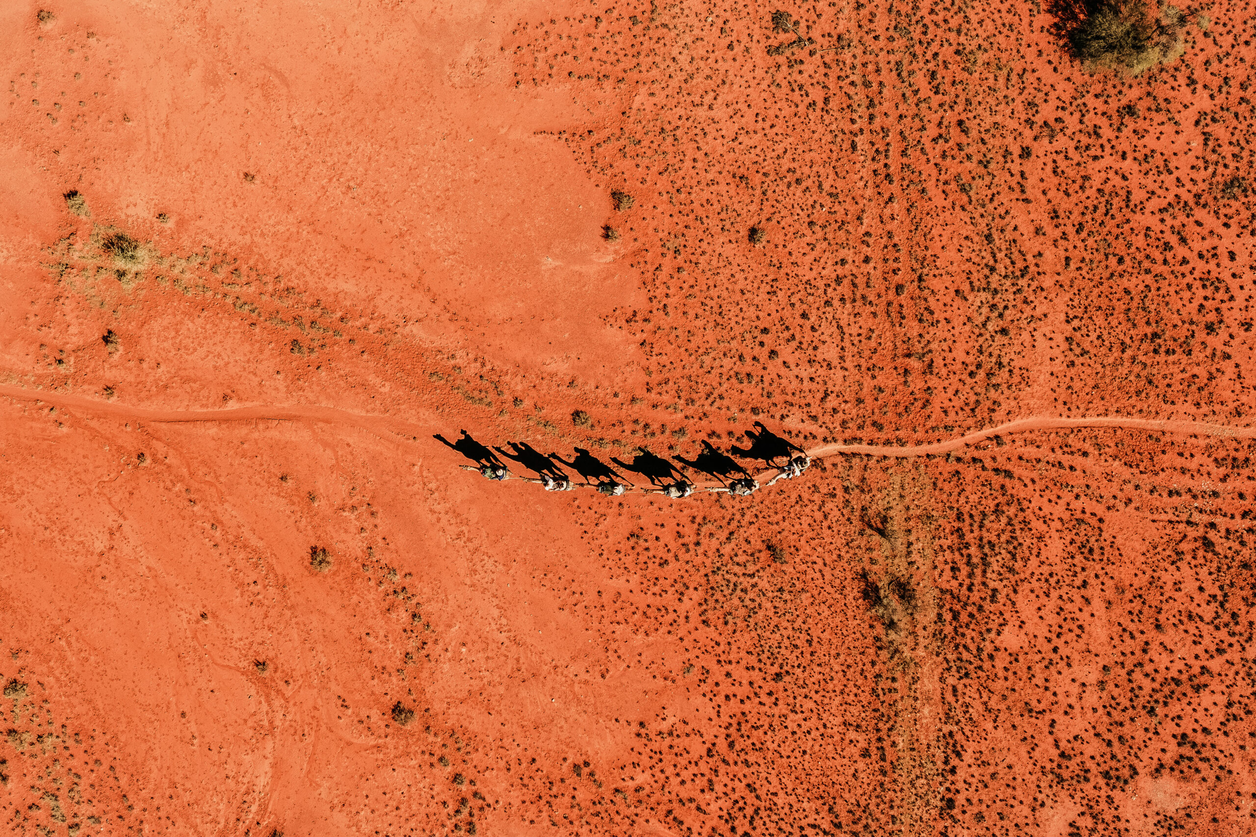 The Rich History of Alice Springs - Journey Beyond Rail